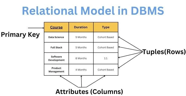 Data Modeling in Digital Marketing: What It Is and How It Works | Yespo
